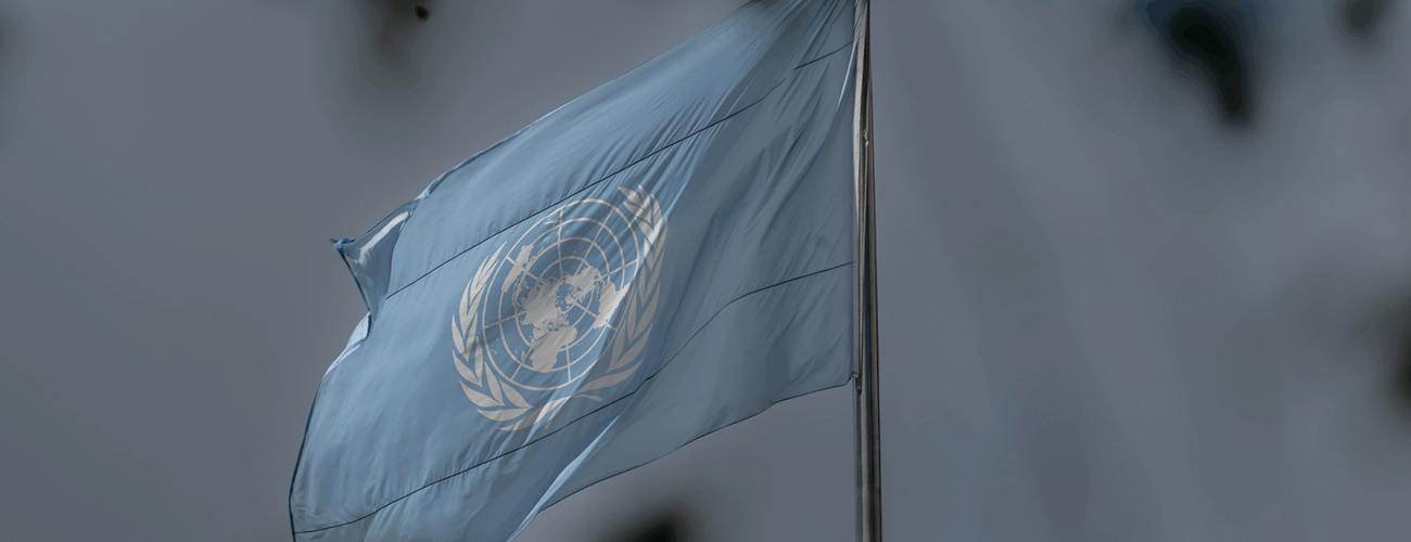 UN80: Seizing the Opportunity for a More Inclusive United Nations - IPI ...