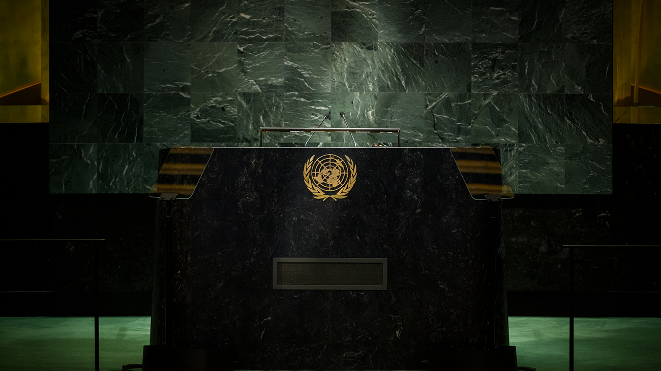 How a Special Envoy for Future Generations Could Help Rescue UN80 from Itself - IPI Global ...